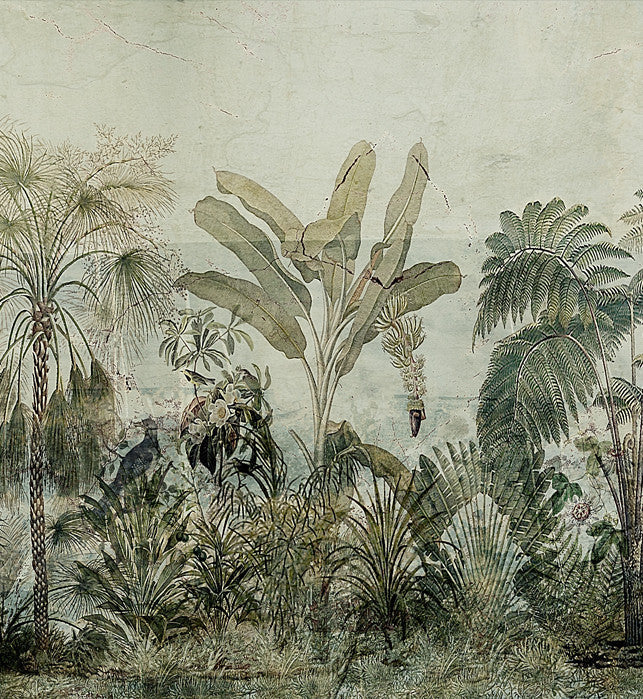 Wallpaper - Fading Forest