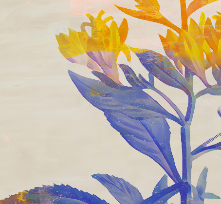 Wallpaper - Field Trip in Spring