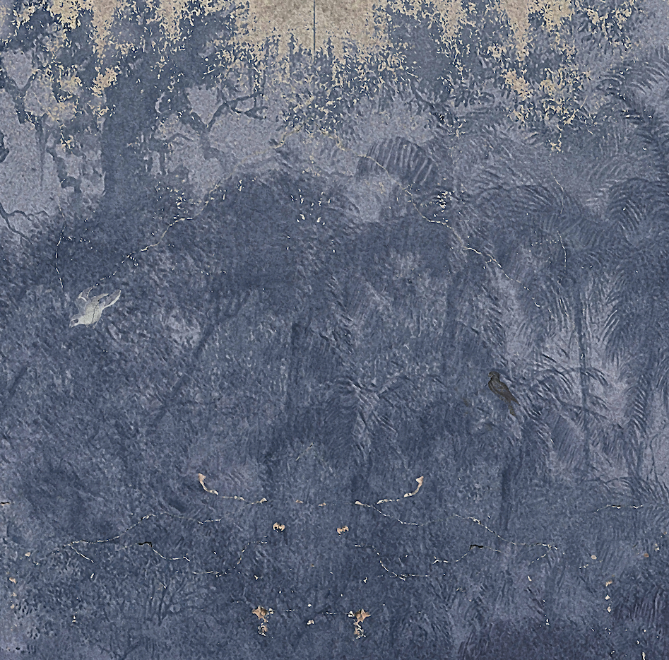 Wallpaper - Tropical Forest Fading